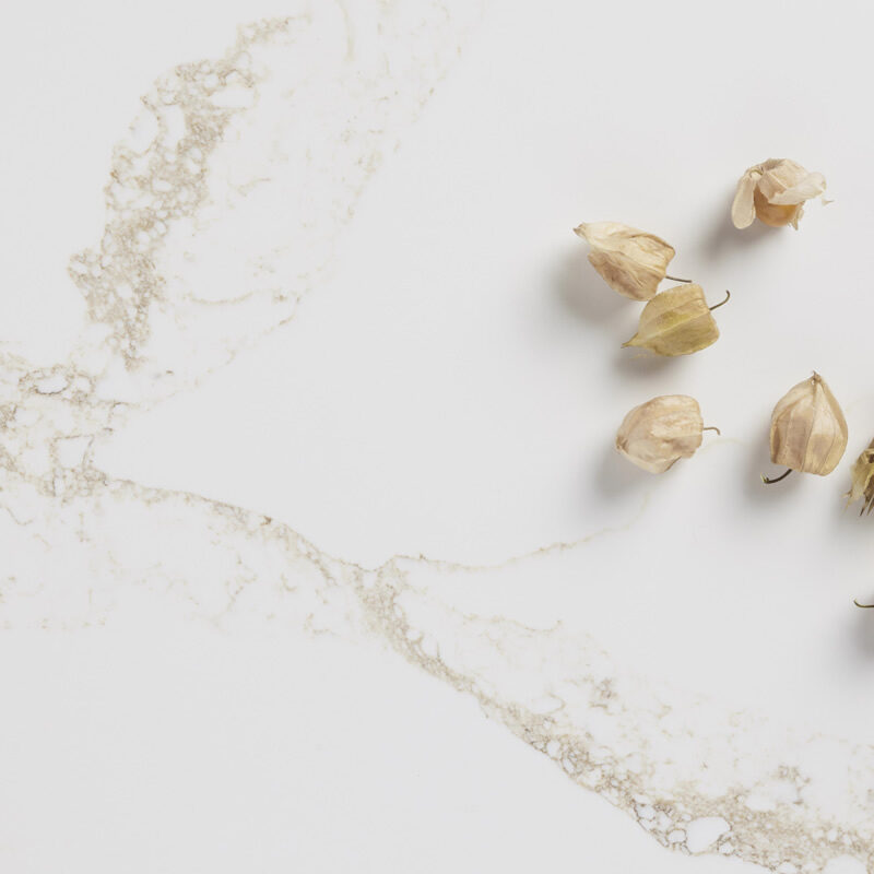 Verona Gold - Quantum Zero - JL Marble